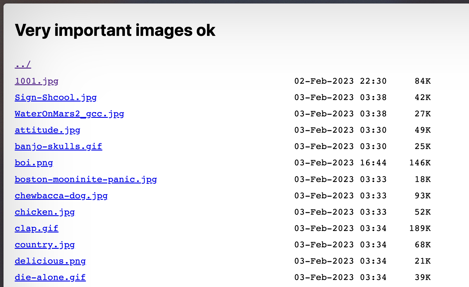 You can just put a folder of files on the internet if you want to ...